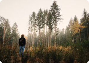 What Is The 230 Pill? Identification, Uses, and Precautions